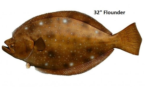 Flounder Mounts – IGFA Store