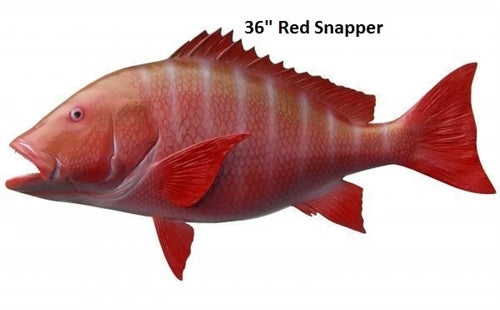 Snapper (Red) Fish Mounts – IGFA Store